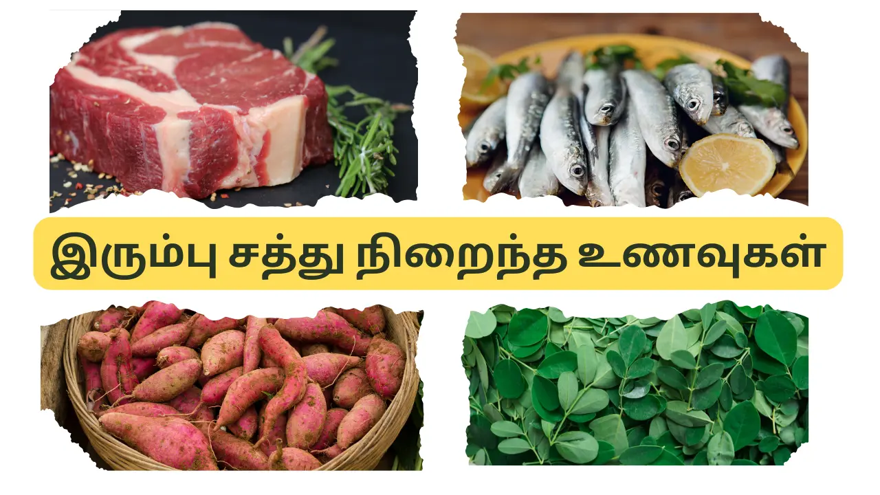 இரும்பு சத்து நிறைந்த உணவுகள் - Healthy Alagu